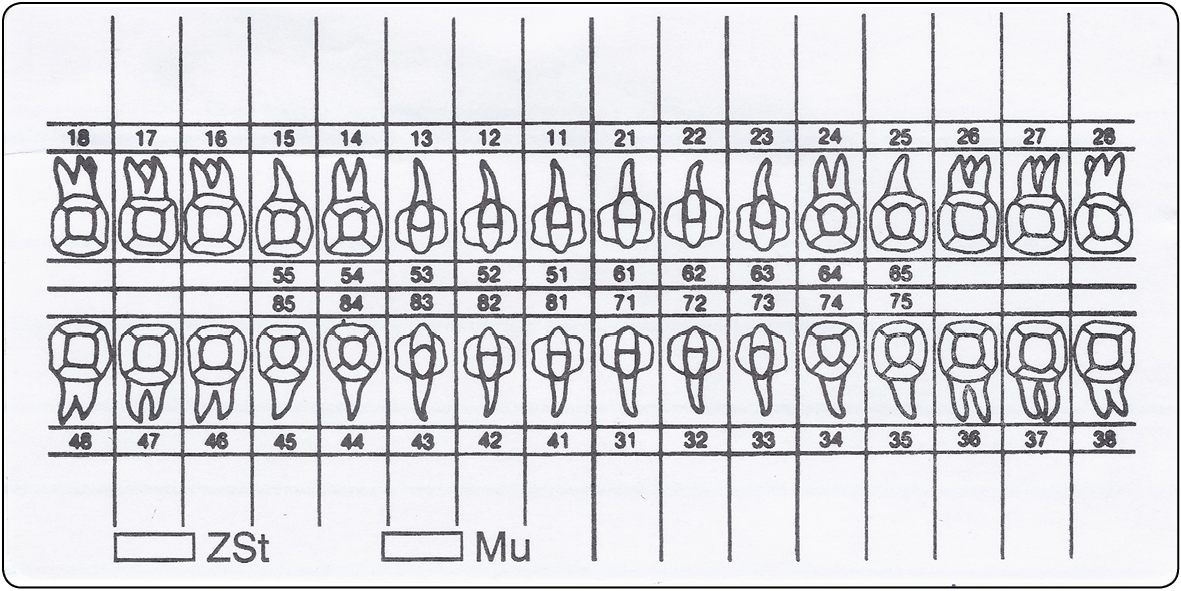 Zahnschema (50 x 100 mm) | Befund-Etiketten | Zahnärzte | Bertram Etiketten